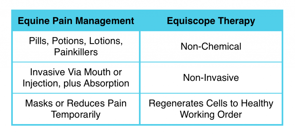 Electro-Equiscope - Electro-Equiscope Eases Equine Hock Arthritis