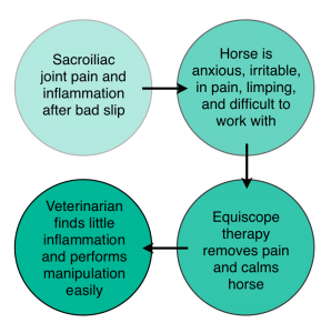 Electro-Equiscope - Equiscope Helps Heal Rocky’s Pain and Inflammation