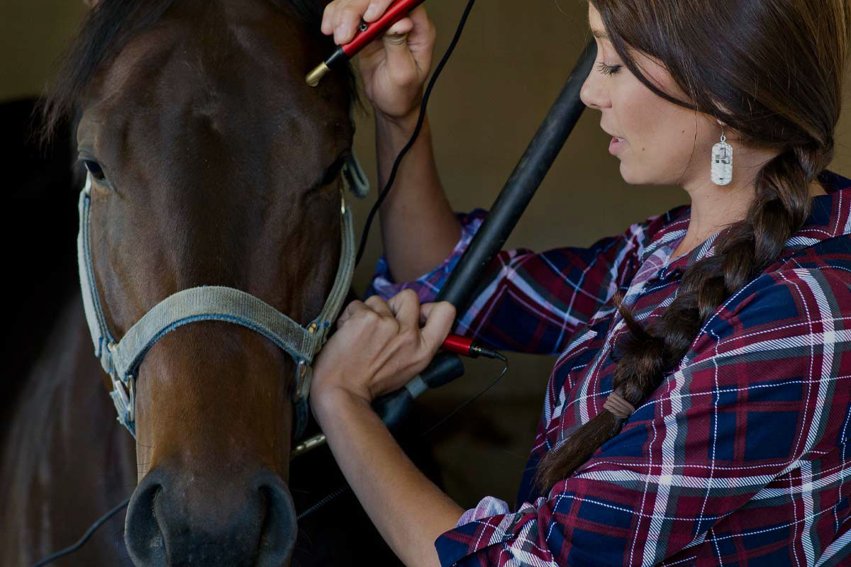 Electro-Equiscope, Microcurent Pain Relief & Recovery therapy